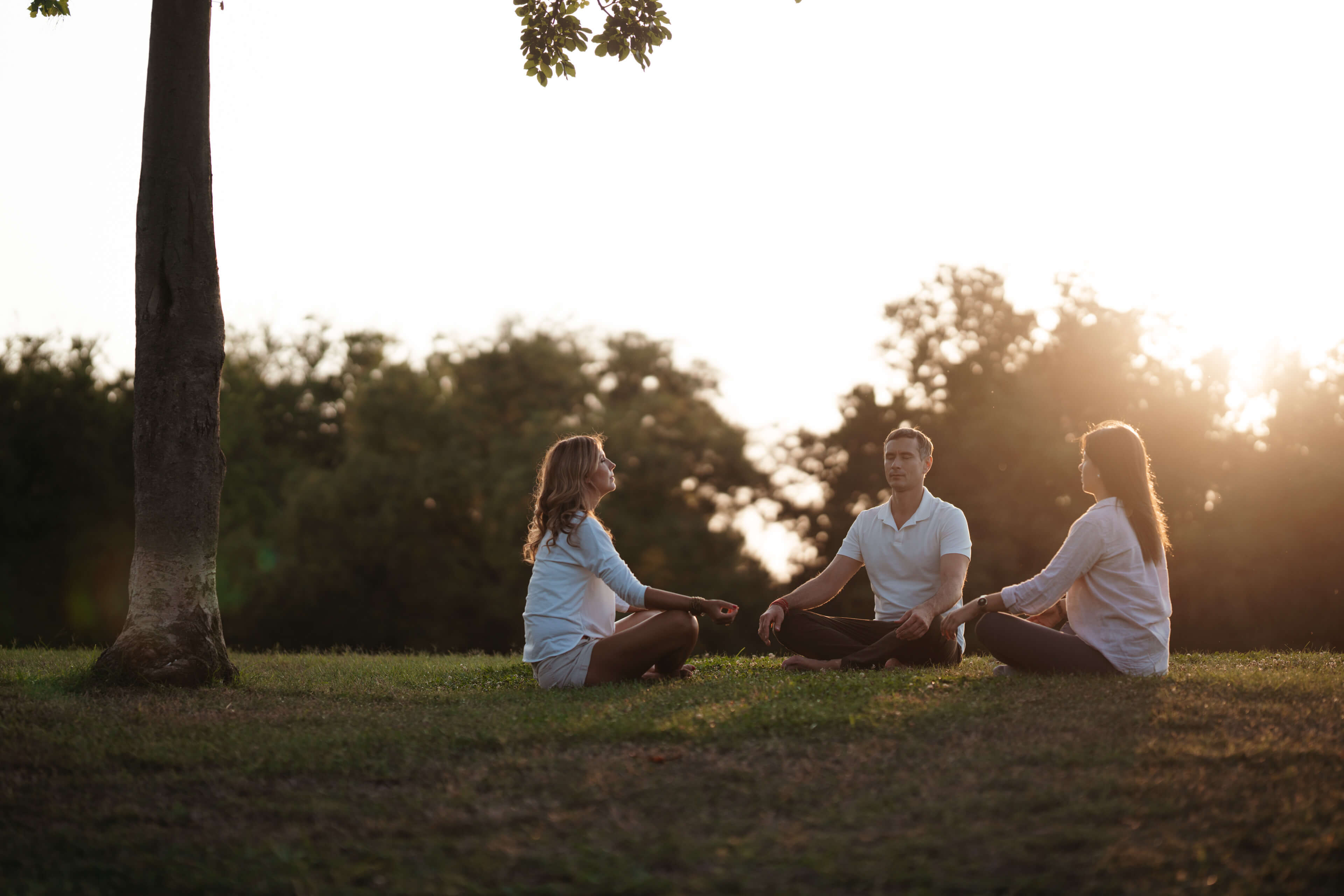 Homepage [meditaljmost.hu]